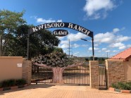 Kwisoko Game Ranch Adventures With BoBoBongz Kwisoko Game Ranch Adventures With BoBoBongz